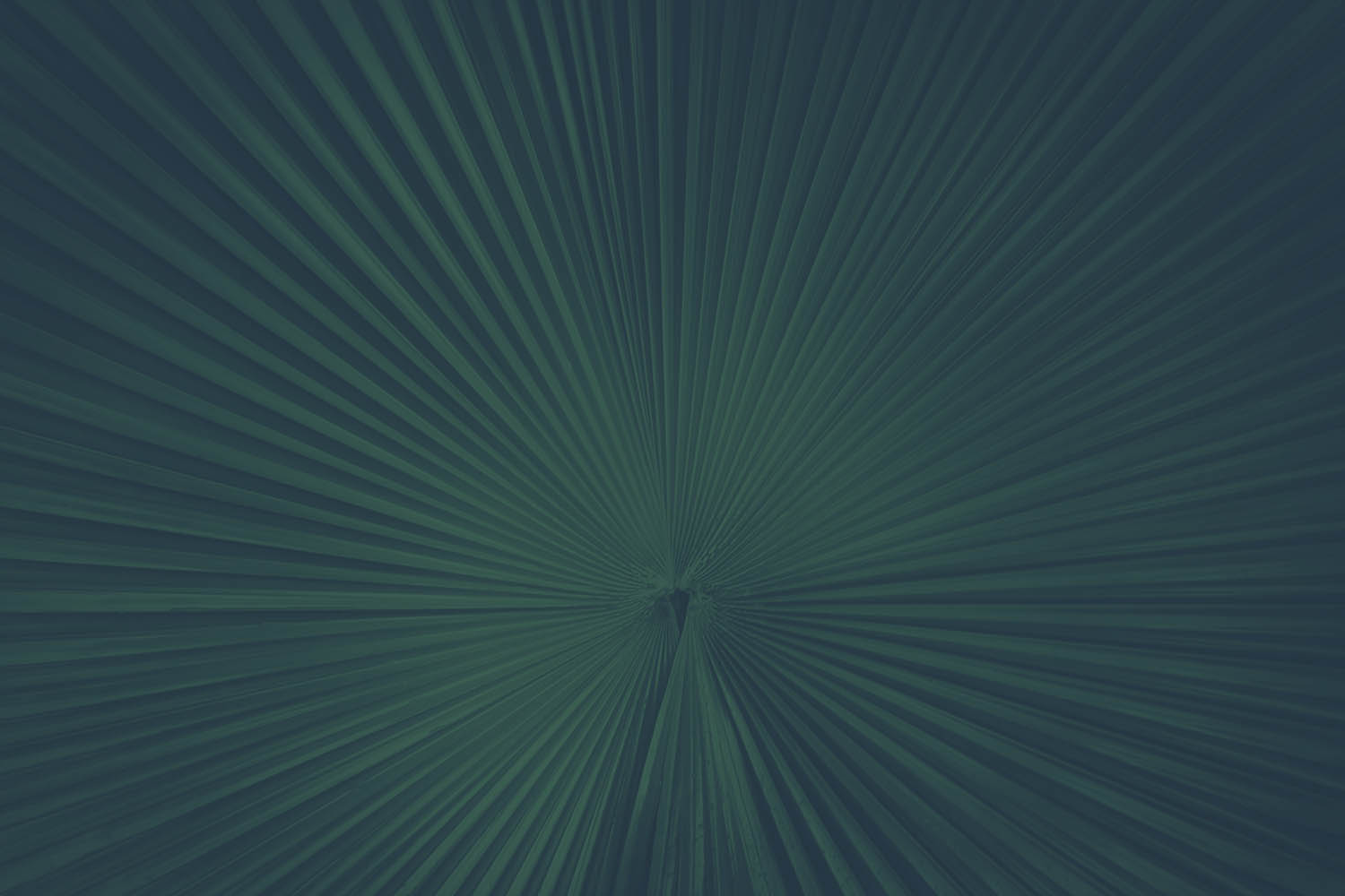 Nuclear Narrative Nuclear Weapons